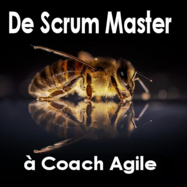 Outils et posture de coaching pour Scrum Master et Servant Leader