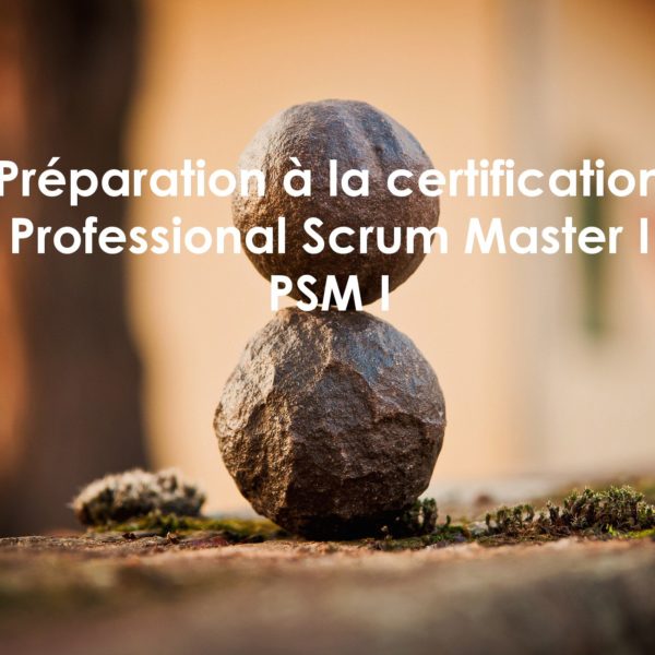 PSM2 : Formation Scrum Master Avancé et Préparation à la certification ...